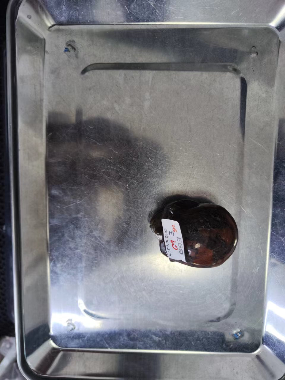 E69-2022.7.29-andy – FADKEYS